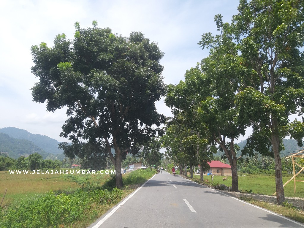 Jalan – jalan ke Mandeh Melewati Jalan Baru - Jelajah Sumbar