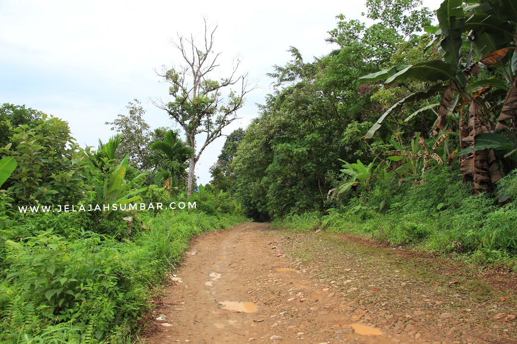 Jalan – jalan ke Mandeh Melewati Jalan Baru - Jelajah Sumbar