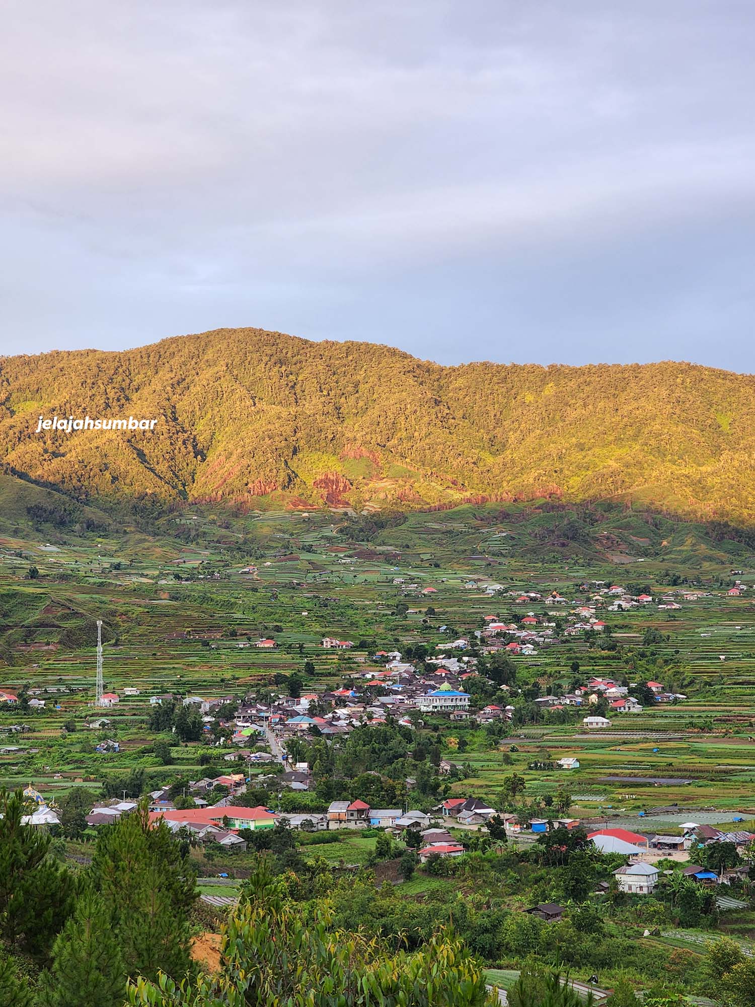 Glamping Solok Radjo : Dingin, Kopi dan ATV - Jelajah Sumbar