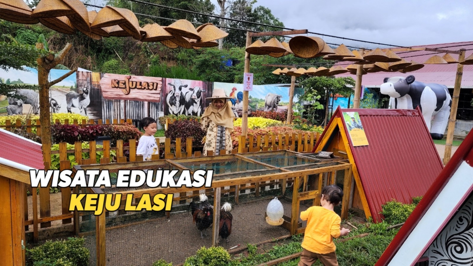 Wisata Edukasi Keju Lasi di Lereng Gunung Marapi - Jelajah Sumbar